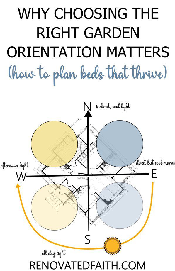 how your home's orientation affects plant growth 2 - Renovated Faith