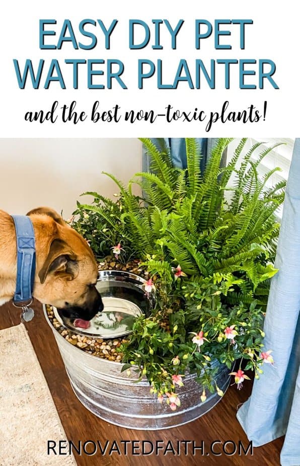 DIY Dog Water Bowl Planter (EASY Tutorial & Safe Plants!) - Renovated Faith