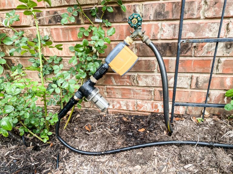 How to Set Up Drip Irrigation for Roses & Landscape Plants Easily!