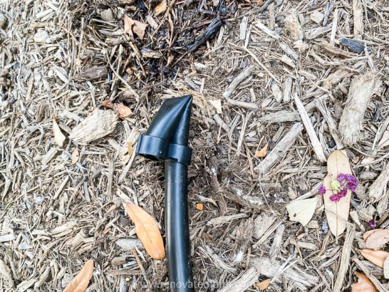 How to Set Up Drip Irrigation for Roses & Landscape Plants Easily!