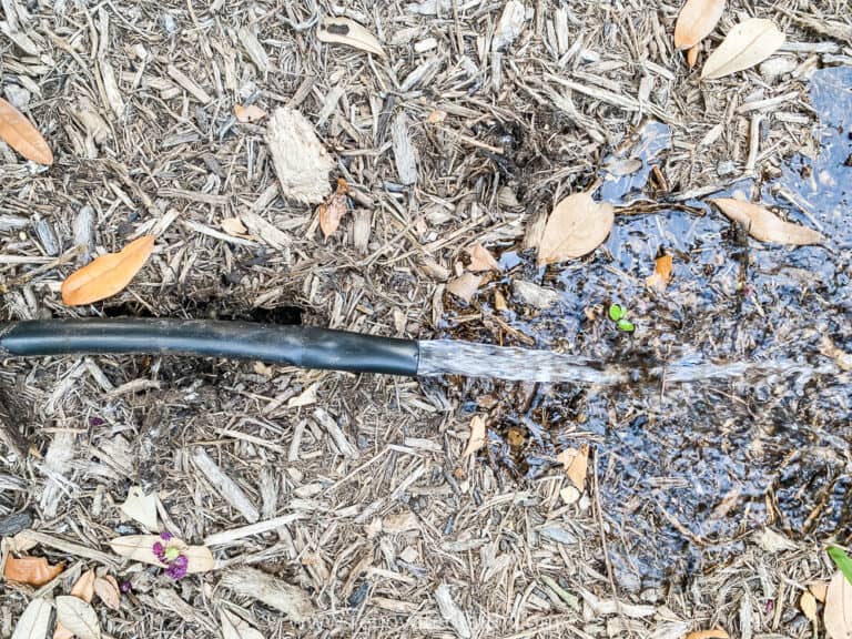 How to Set Up Drip Irrigation for Roses & Landscape Plants Easily!