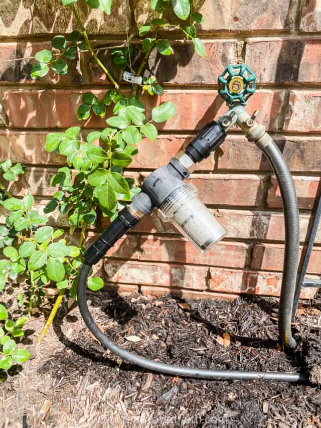 How to Set Up Drip Irrigation for Roses & Landscape Plants Easily!