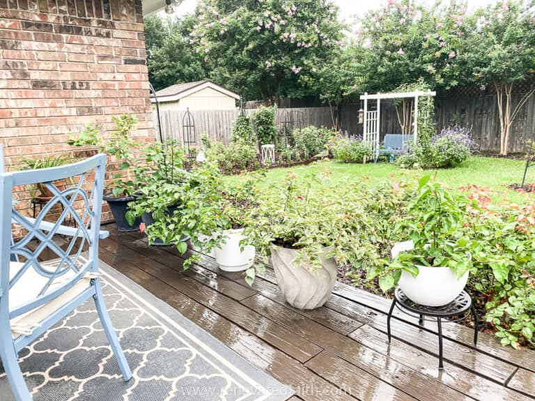 How to Set Up Drip Irrigation for Potted Plants (Beginner Guide)