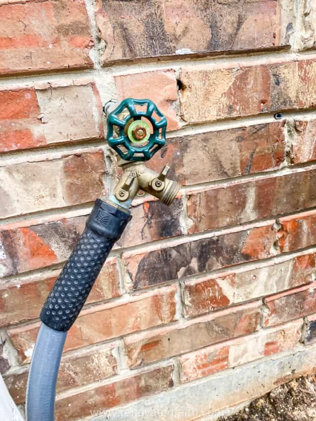 How to Set Up Drip Irrigation for Roses & Landscape Plants Easily!