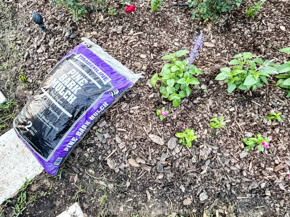 How to Build a Mounded Flower Bed Without Digging